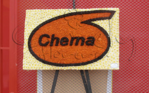 Logotipo floral Chema - LF001 - Camely Floreria